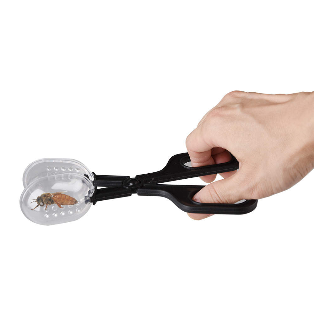 Plastic Queen Cage Catcher — Wood's Beekeeping Supply & Academy