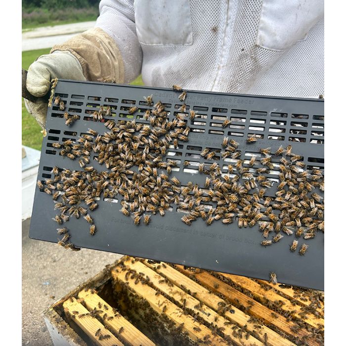 Winter Frame Feeder — Wood's Beekeeping Supply & Academy